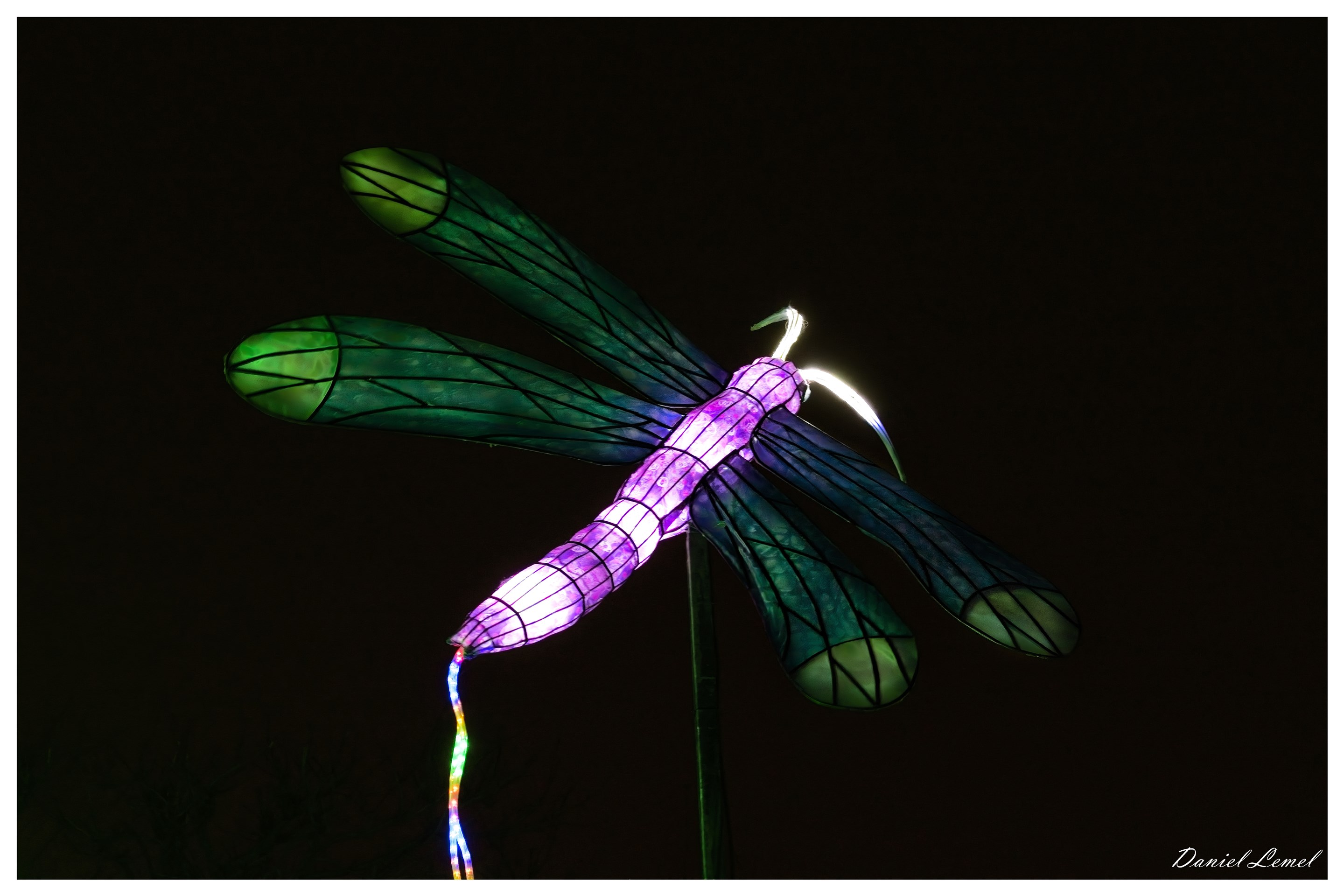 ÈRE PRIMAIRE (DE -490 À -250 MILLIONS D’ANNÉES)