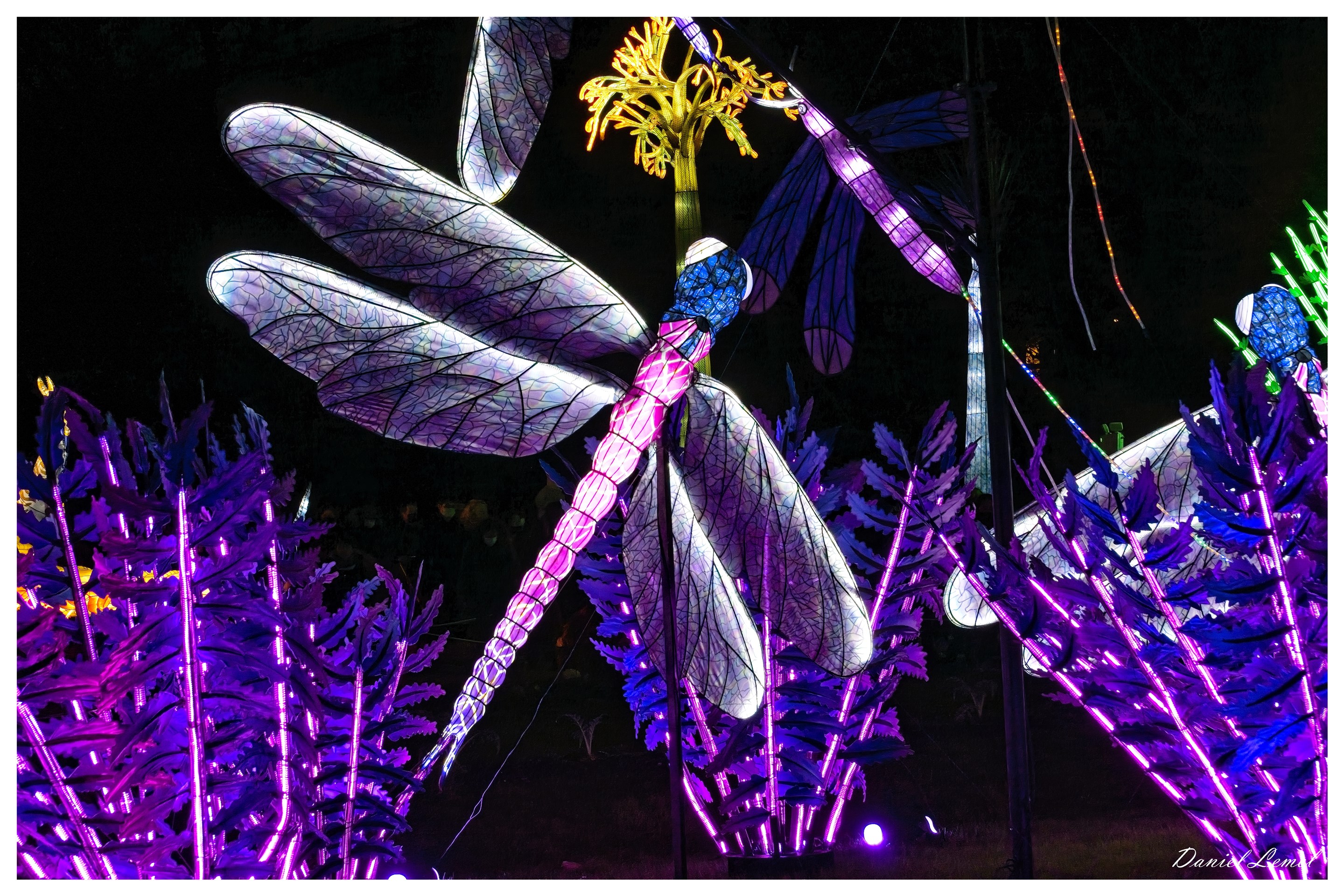 ÈRE PRIMAIRE (DE -490 À -250 MILLIONS D’ANNÉES)