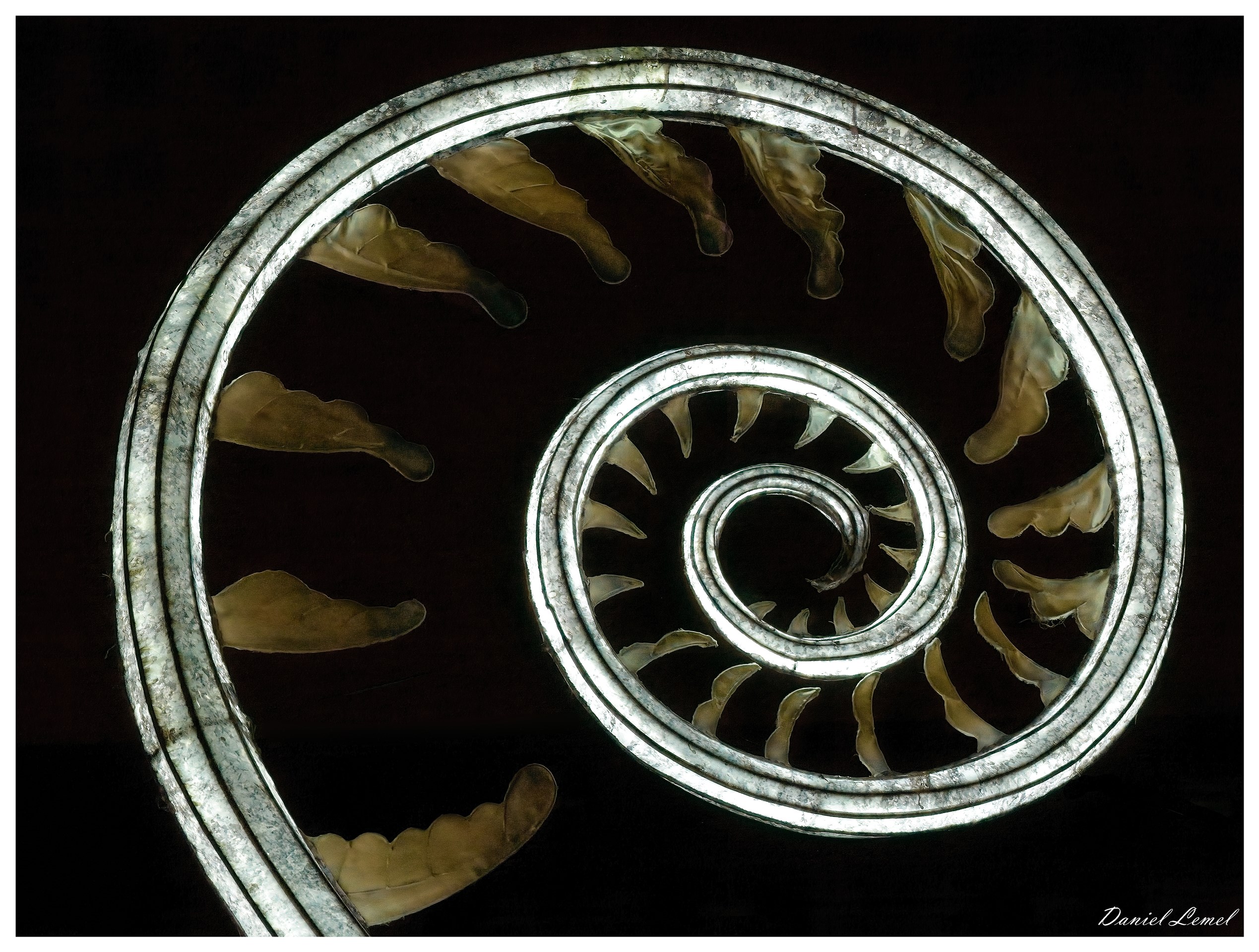 ÈRE PRIMAIRE (DE -490 À -250 MILLIONS D’ANNÉES)