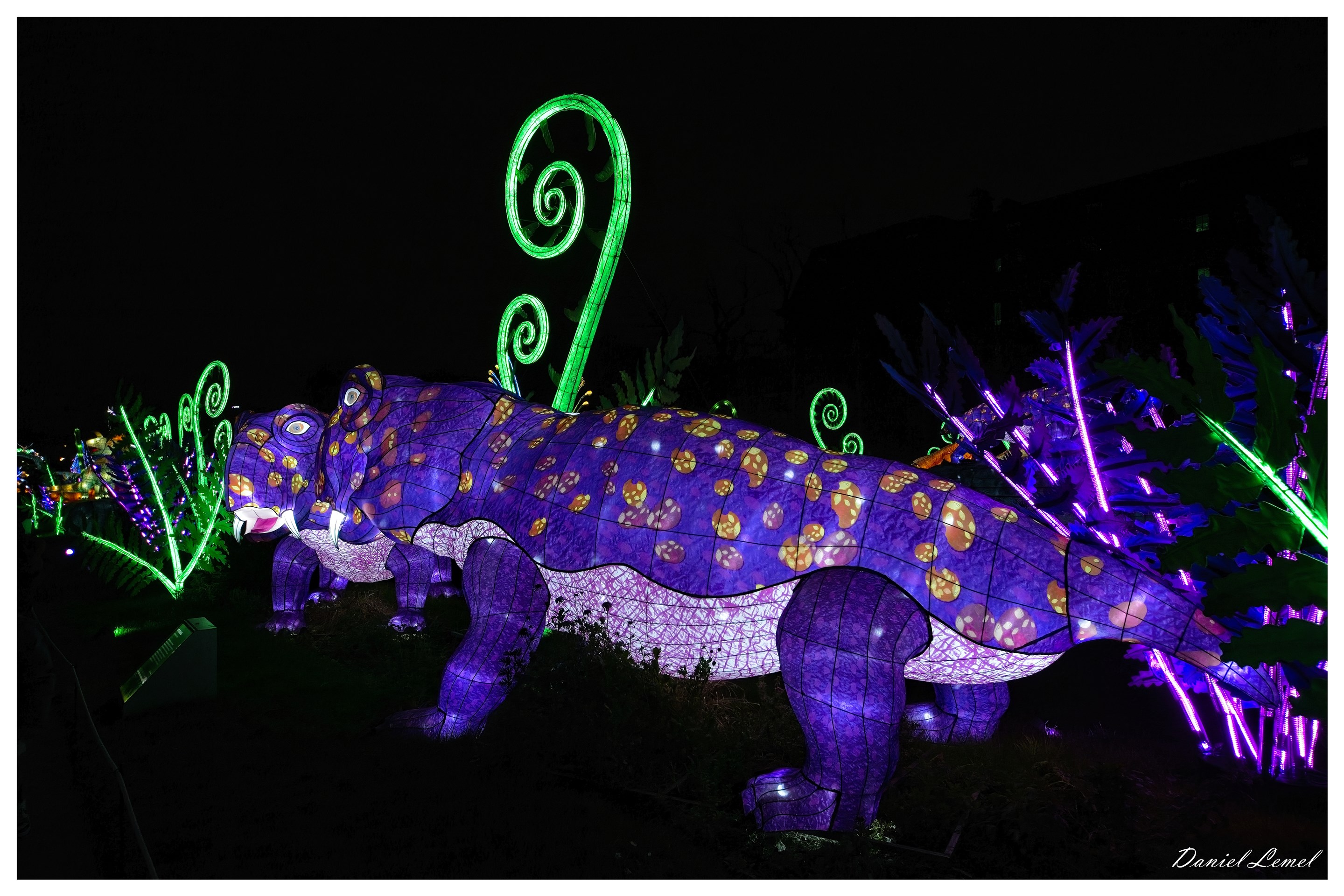 ÈRE PRIMAIRE (DE -490 À -250 MILLIONS D’ANNÉES)