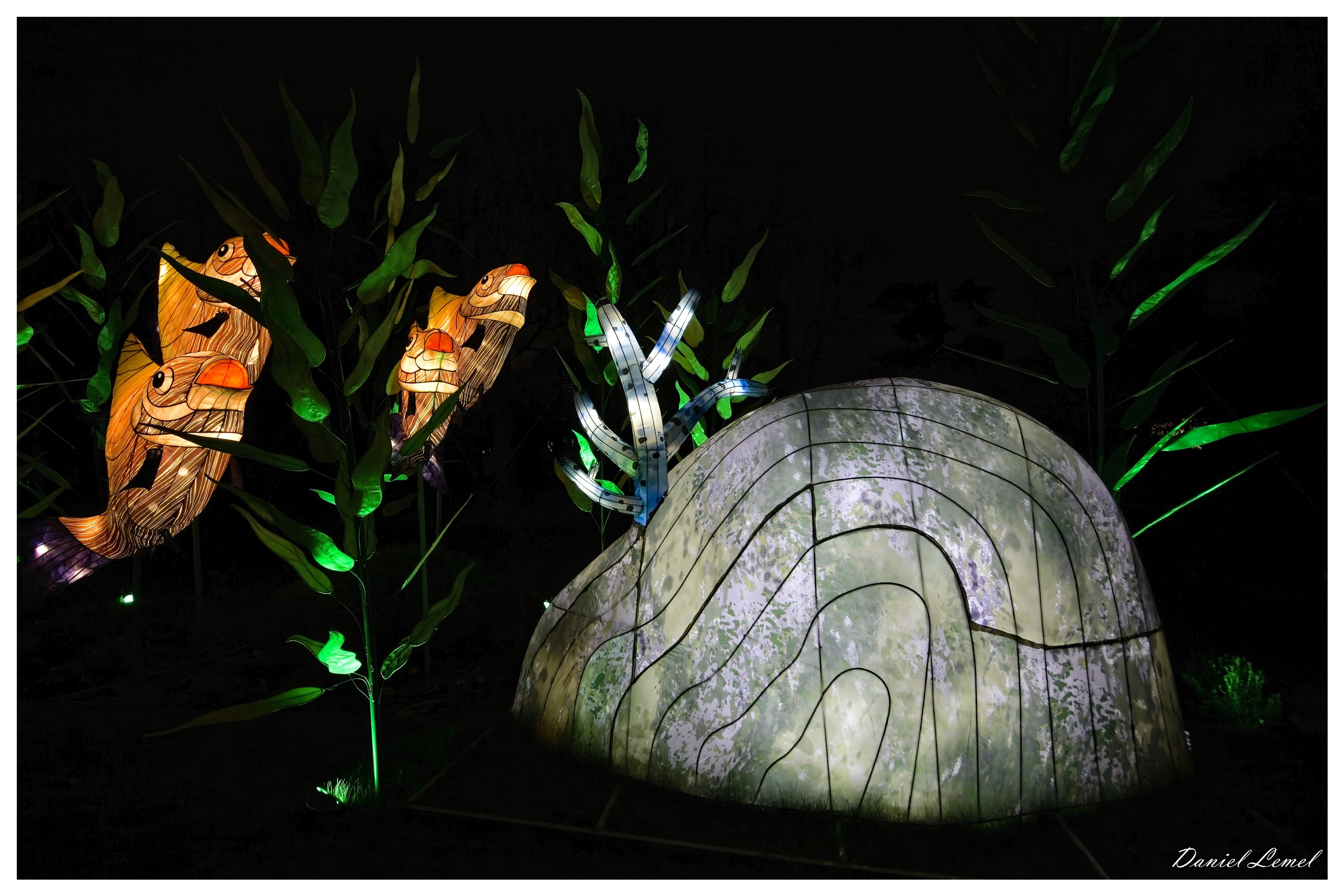 ÈRE PRIMAIRE (DE -490 À -250 MILLIONS D’ANNÉES)