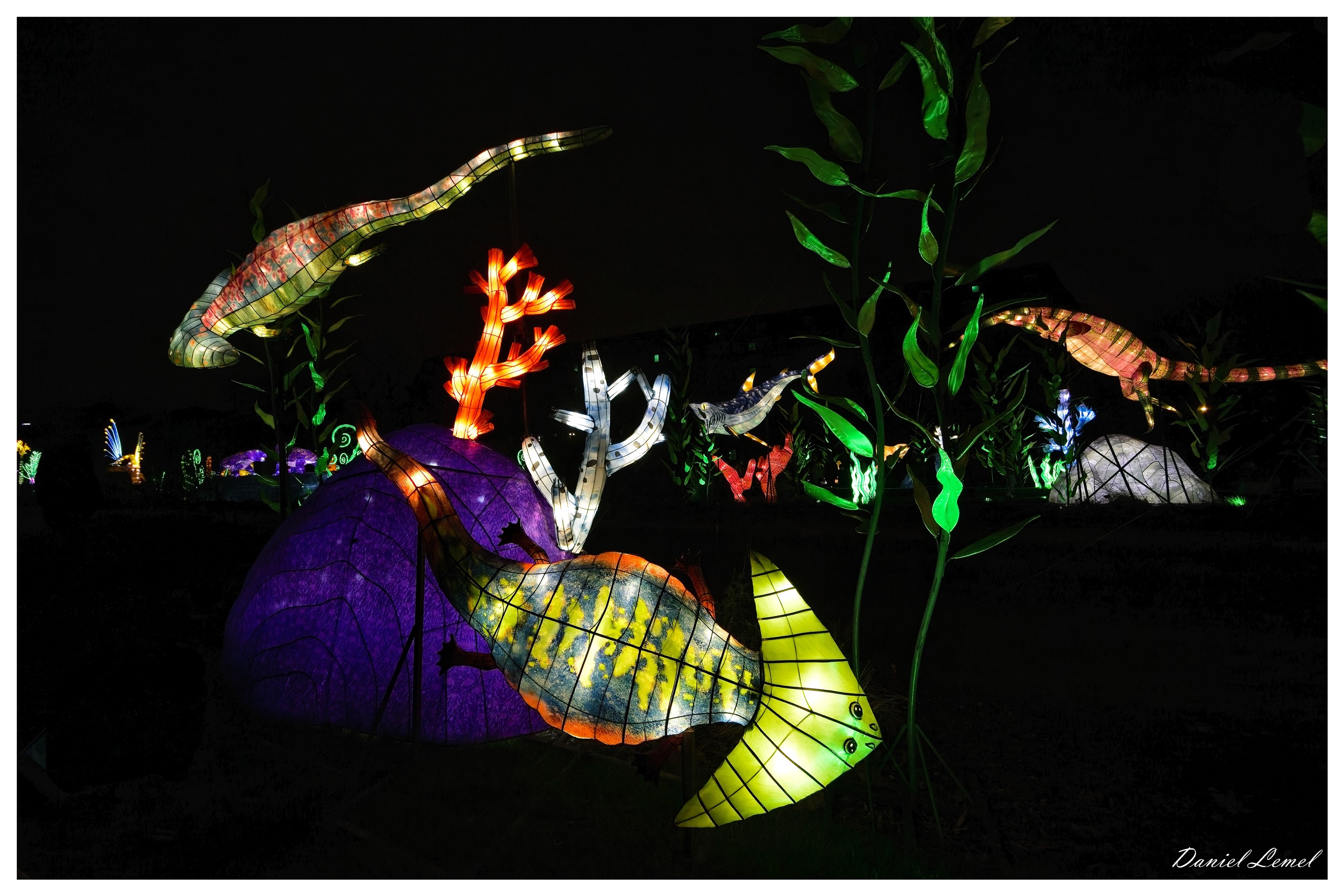 ÈRE PRIMAIRE (DE -490 À -250 MILLIONS D’ANNÉES)