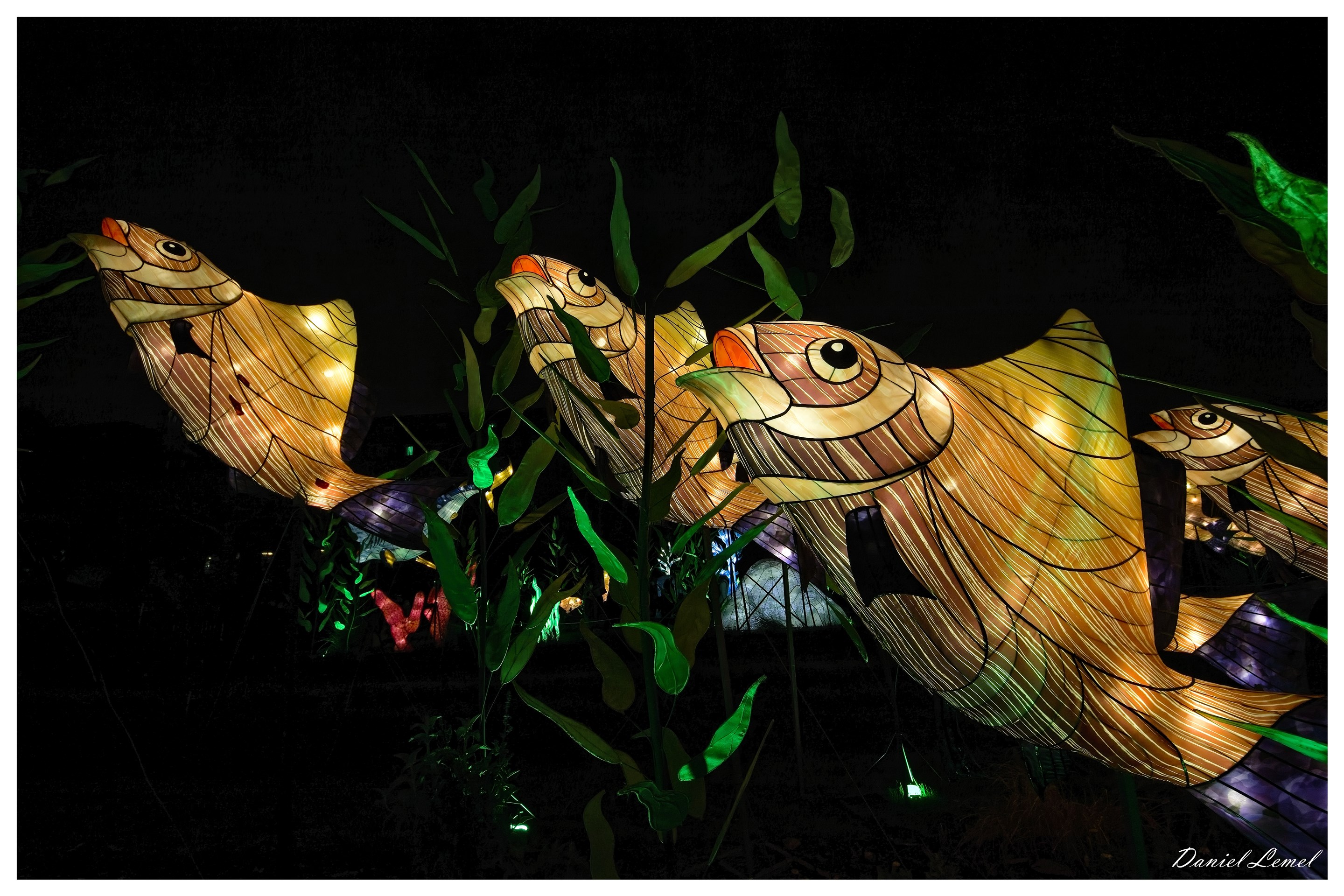 ÈRE PRIMAIRE (DE -490 À -250 MILLIONS D’ANNÉES)