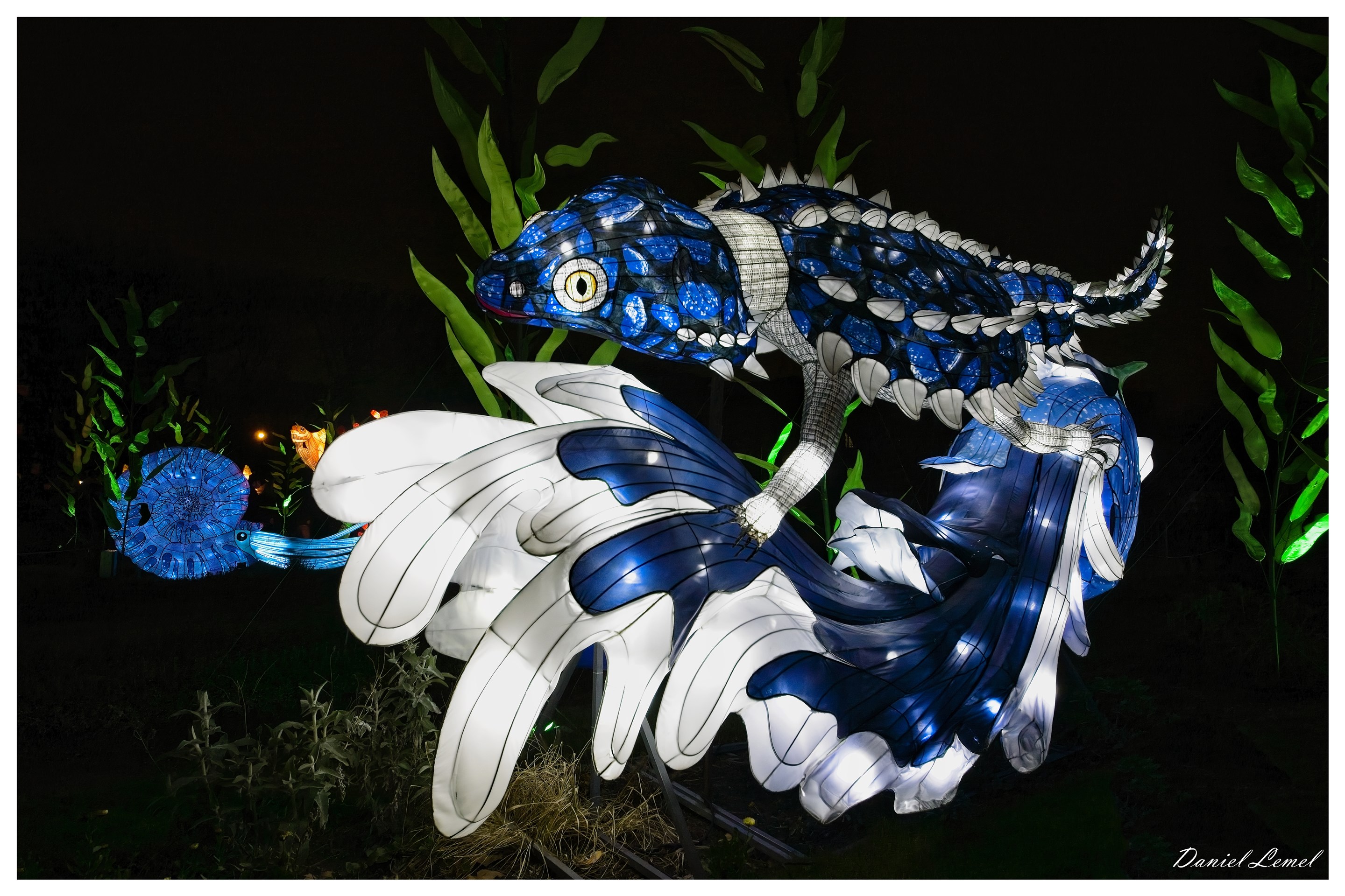 ÈRE PRIMAIRE (DE -490 À -250 MILLIONS D’ANNÉES)